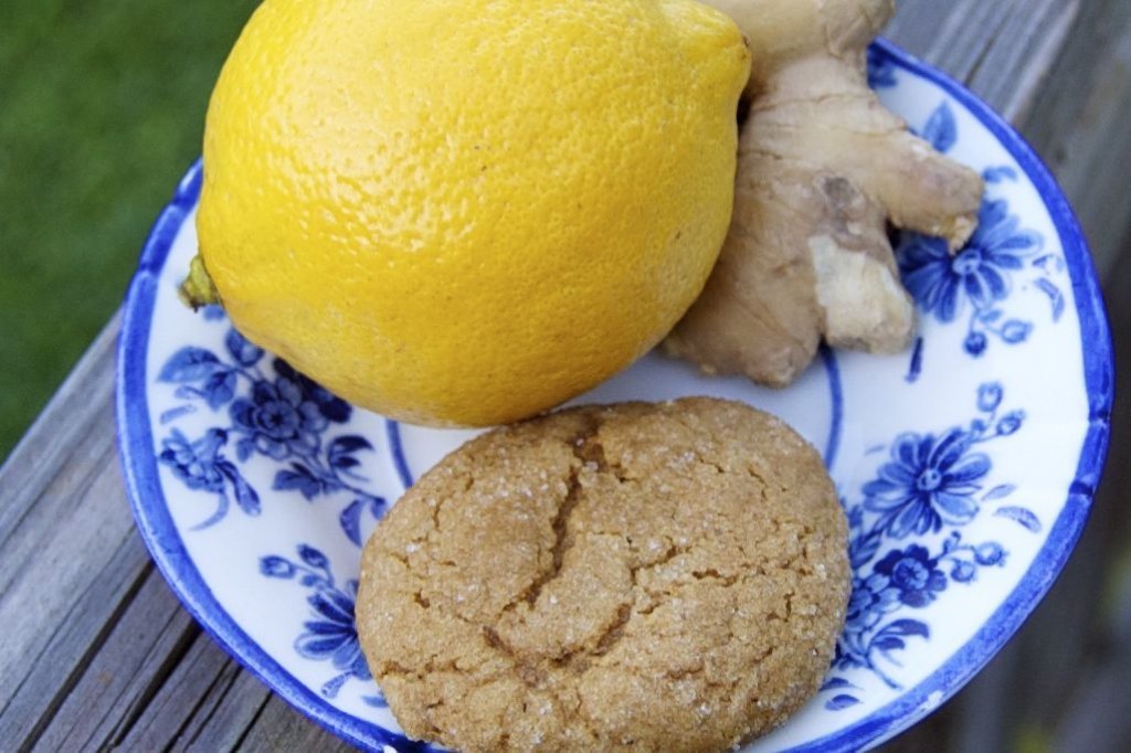 The Best Ginger Lemon Cookies Recipe - TeriLyn Adams
