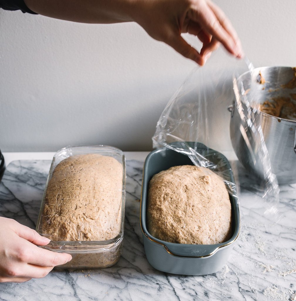 Easy Whole Wheat Bread Recipe with No Kneading Needed!