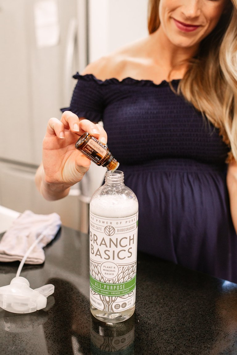 Branch Basics Review: What Works and What Doesn't