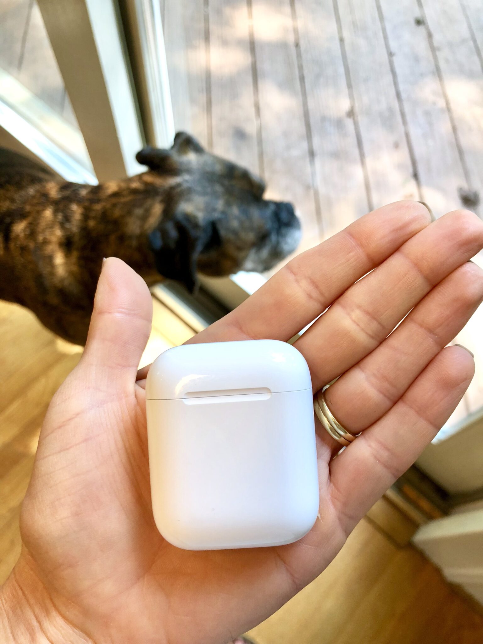 Apple Airpods Running Review: A marathoner shares if it works for running